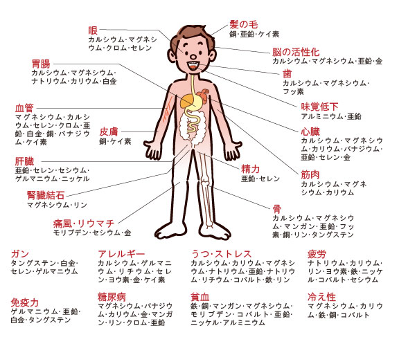 現代病・生活習慣病の原因はミネラル不足 株式会社ガイアロックス